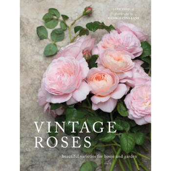 Vintage Roses: Beautiful Varieties for Home ...