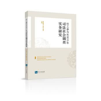 社工参与失足少年司法社会调查实务研究/书籍/社会科学/社会调查