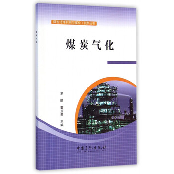 煤炭气化/煤炭洁净利用与煤化工技术丛书