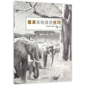 逼真动物素描技巧
