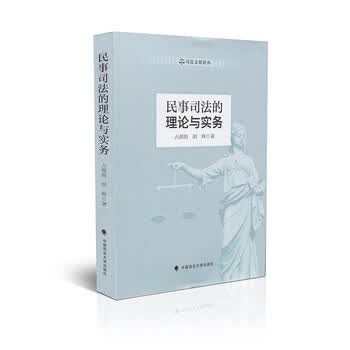 民事司法的理论与实务/司法文明论丛