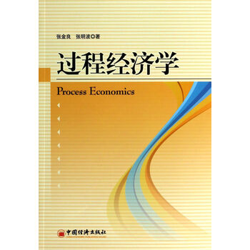 过程经济学