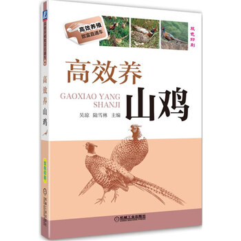 高效养山鸡