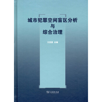 城市犯罪空间盲区分析与综合治理
