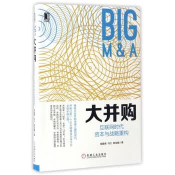 大并购(互联网时代资本与战略重构)(精)