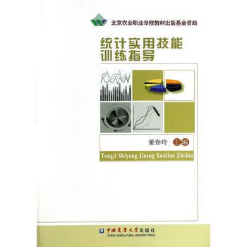 统计实用技能训练指导