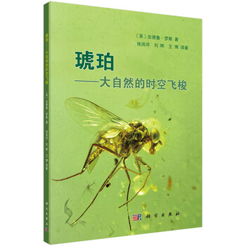 琥珀——大自然的时空飞梭