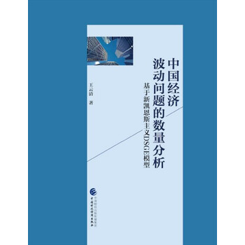 中国经济波动问题的数量分析