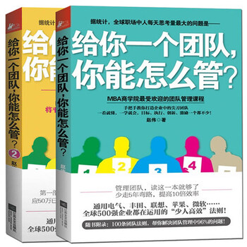 给你一个团队你能怎么管 全2册