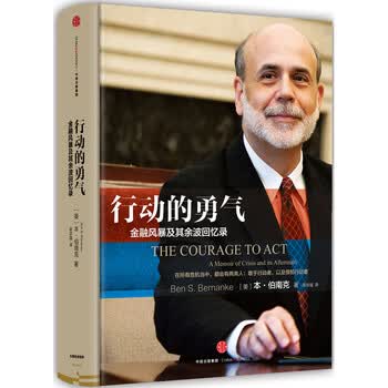 行动的勇气 金融风暴及其余波回忆录 金融投资