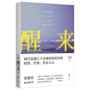 醒来:凡真实的,必会相遇  丁锐北京联合出版公司42