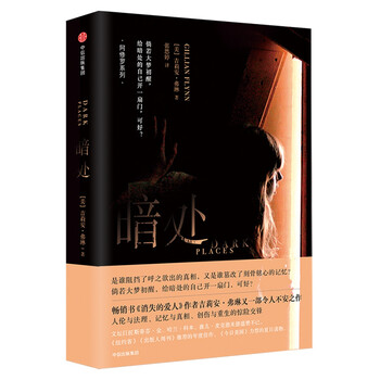 暗处 吉莉安·弗琳 著 中信出版社