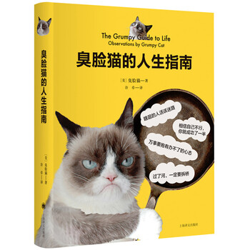 臭脸猫的人生指南