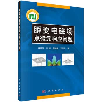 瞬变电磁场点微元响应问题