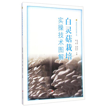 白灵菇栽培实操技术图解