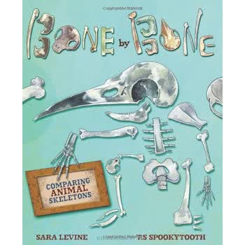【】Bone by Bone: Comparing Anima