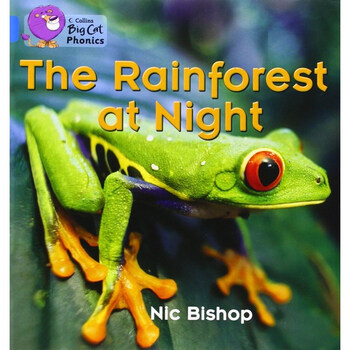 The Rainforest at Night: Blue/Band 4