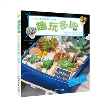 趣玩多肉