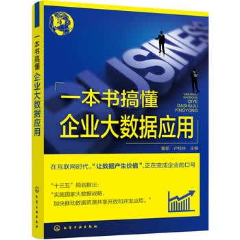 一本书搞懂企业大数据应用
