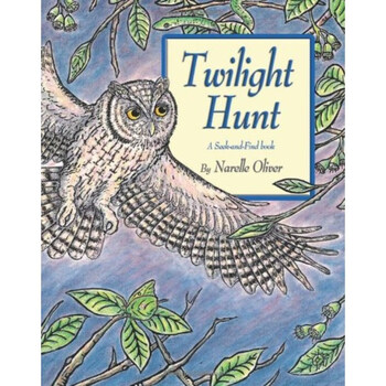 Twilight Hunt: A Seek-and-Find Book