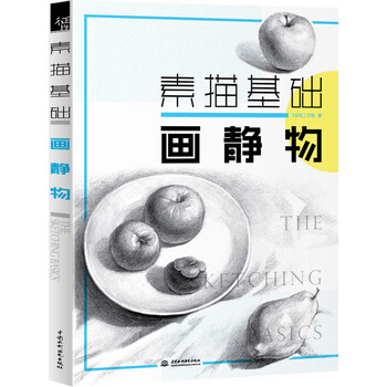 素描基础：画静物