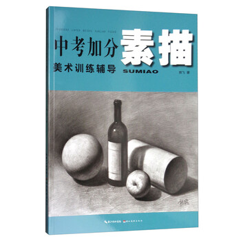 中考加分美术训练辅导：素描