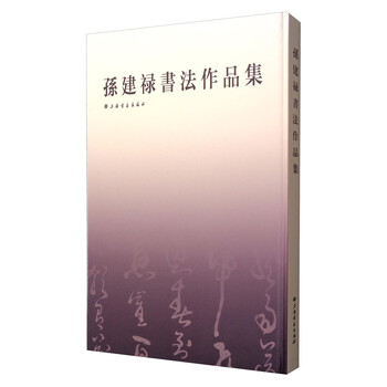 孙建禄书法作品集