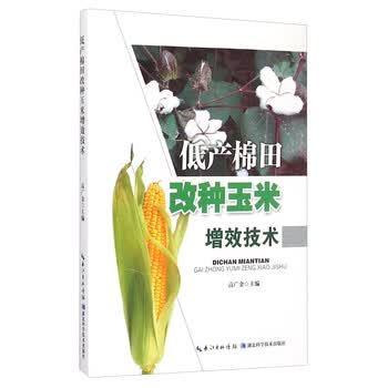 低产棉田改种玉米增效技术