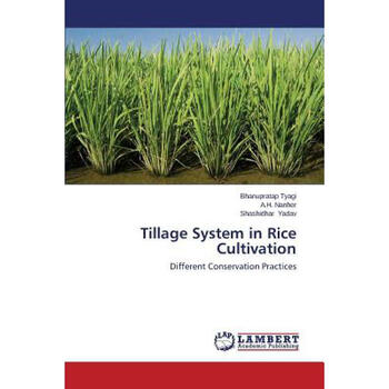 Tillage System in Rice Cultivation