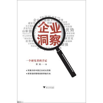 企业洞察：一个研究者的手记