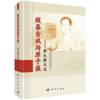 [按需印刷] 羰基合成与原子簇
