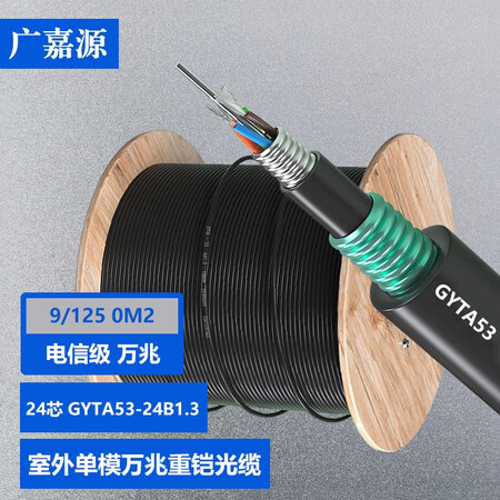 广嘉源 GYTA53室外单模铠装光缆 4/6/8/12/24/48芯直埋重铠光纤 24芯 GYTA53-24B1.3 100米【图片 价格 品牌 报价】-京东