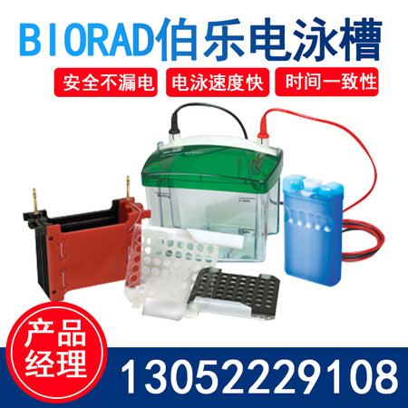 卓的美国伯乐电泳槽BIORAD小型垂直电泳转印槽Mini-PROTEAN电泳蛋白槽 及产品咨询产品经理【图片 价格 品牌 报价】-京东