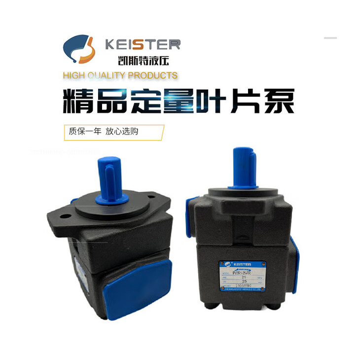 凯斯特KEISTER叶片泵PV2R1-10 14 17 19 23 25 28 31-FR 液压油泵 PV2R1-19-FR【图片 价格 品牌 ...