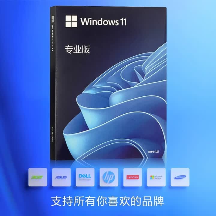 正版win11专业版系统u盘电脑重装Windows10家庭中文版升级Pro纯净 win11专业版-中文简体USB 五台设备（5PC ...