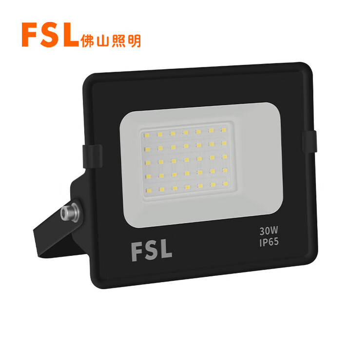 【FSL2 LED投光灯防水泛光灯IP65工程路灯】FSL 2 LED投光灯防水泛光灯IP65工程路灯30W白光6500K天耀系列【行情 报价 ...