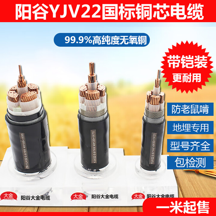 绿灯行国标ZRYJV22电力电缆线4/5芯铠装10/16/25平方阻燃铜芯三相四线 YJV22-3*70+2*35/米【图片 价格 品牌 报价】-京东