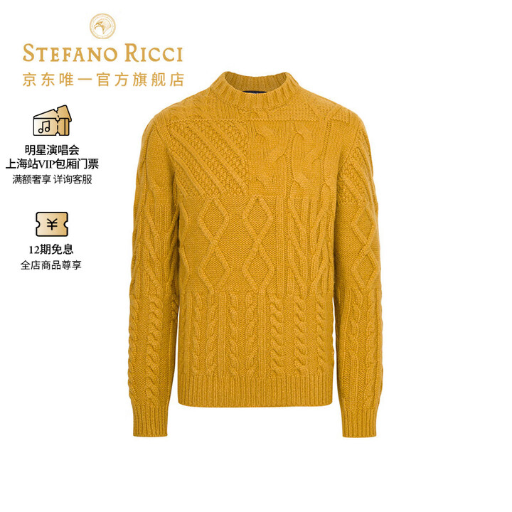 Stefano Ricci/史蒂芬劳.尼治男装 秋冬纯羊绒圆领针织毛衣 黄色 52【图片 价格 品牌 报价】-京东