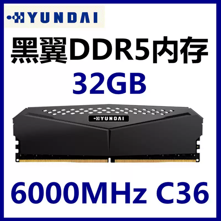 何佳功R532G6000M台式机内存条马甲条Intel/AM通用 黑色单条 黑色单条 5600032GB 5600032条 黑色单【图片 价格 ...
