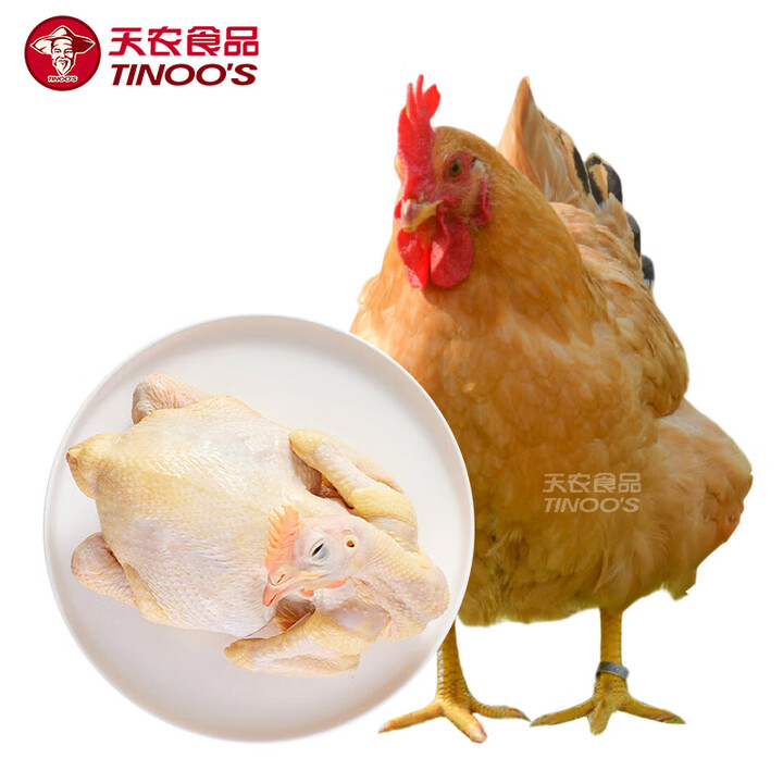 【天农（TINOO'S）供港跑山鸡土鸡】天农 供港土鸡跑山鸡 2.4斤 山林散养清远走地鸡 冷冻 红烧煲汤食材【行情 报价 价格 评测】-京东