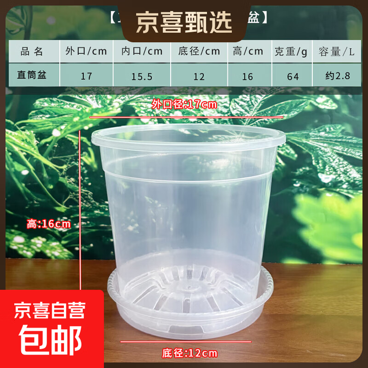 蝴蝶兰专用花盆高透明青山盆文心兰盆透明钵观根花盆控根盆兰花盆 口径170mm（送托盘） 3个装【图片 价格 品牌 报价】-京东