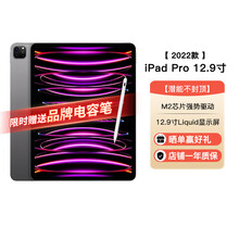 ipad pro - 商品搜索 - 京东