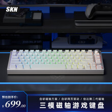 SKN外设产品旗舰店 - 京东